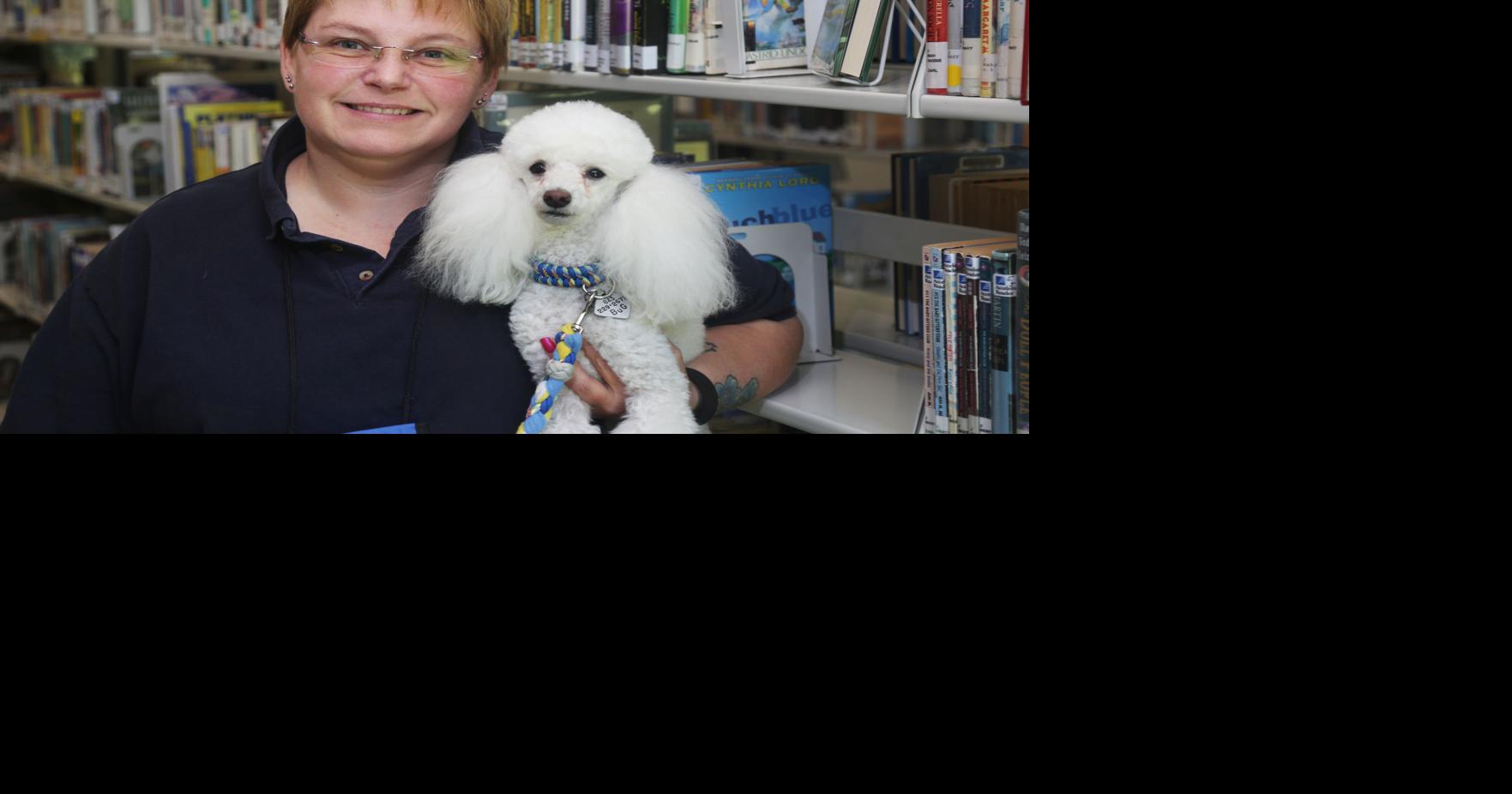 Margi Moore's therapy dogs 'just have this gift'