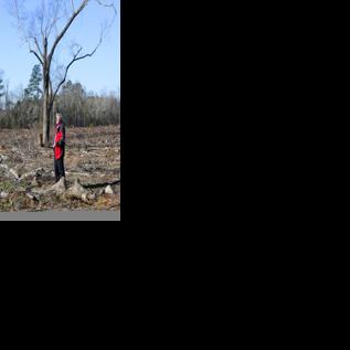 PHOTOS: Pine Needle Road Timber cut upsets Residents