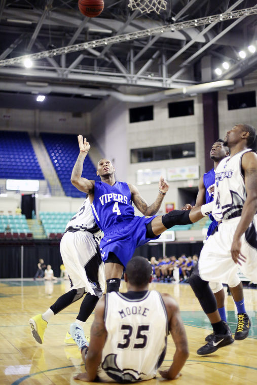 Vipers take on RazorSharks