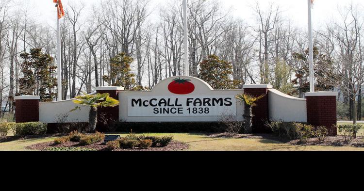 McCall Farms to invest $35 million in ‘Project Veg 3’ to create 150 new ...