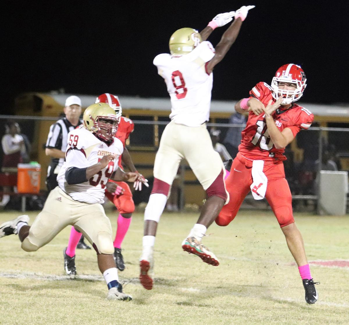 Undefeated Carvers Bay claws way back to top of region