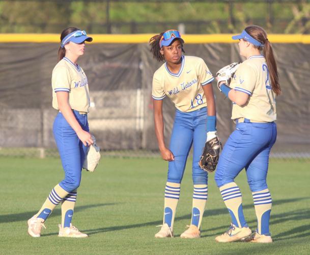 Lake View baseball rolls 10-2 at Green Sea Floyds