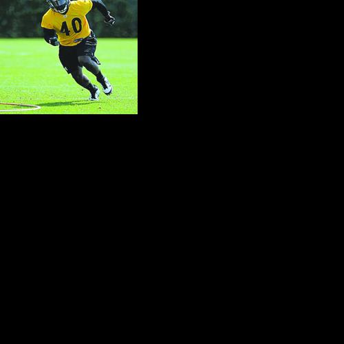 McFadden hopes for bigger things in year two with Steelers