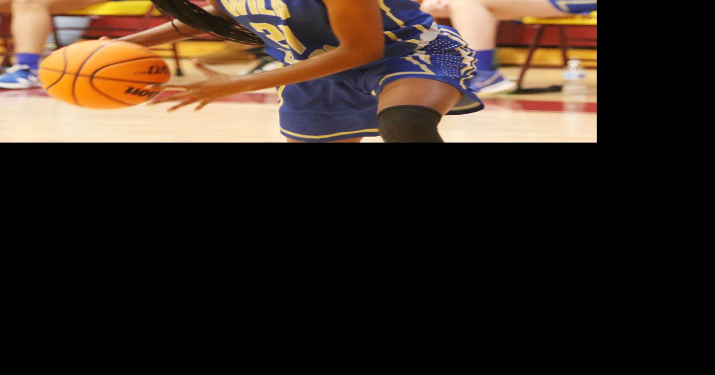 Lake View Lady Wild Gators on title hunt
