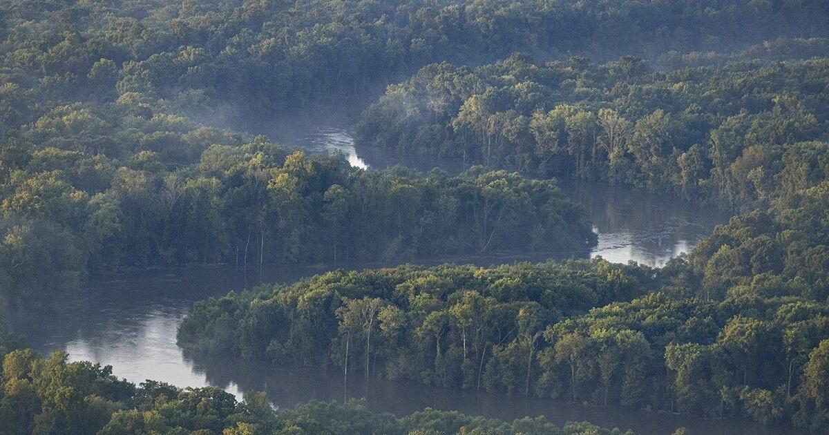 USDA Forest Service partners with state to conserve Pee Dee Basin