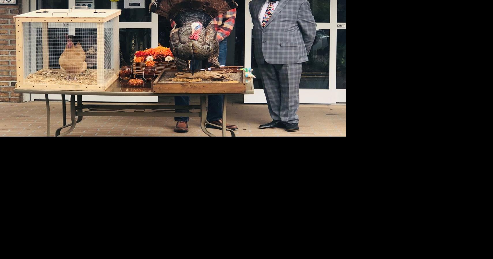 Turkey escapes before getting pardoned