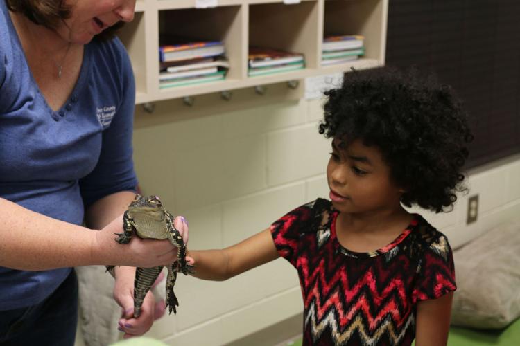 lucy t davis elementary