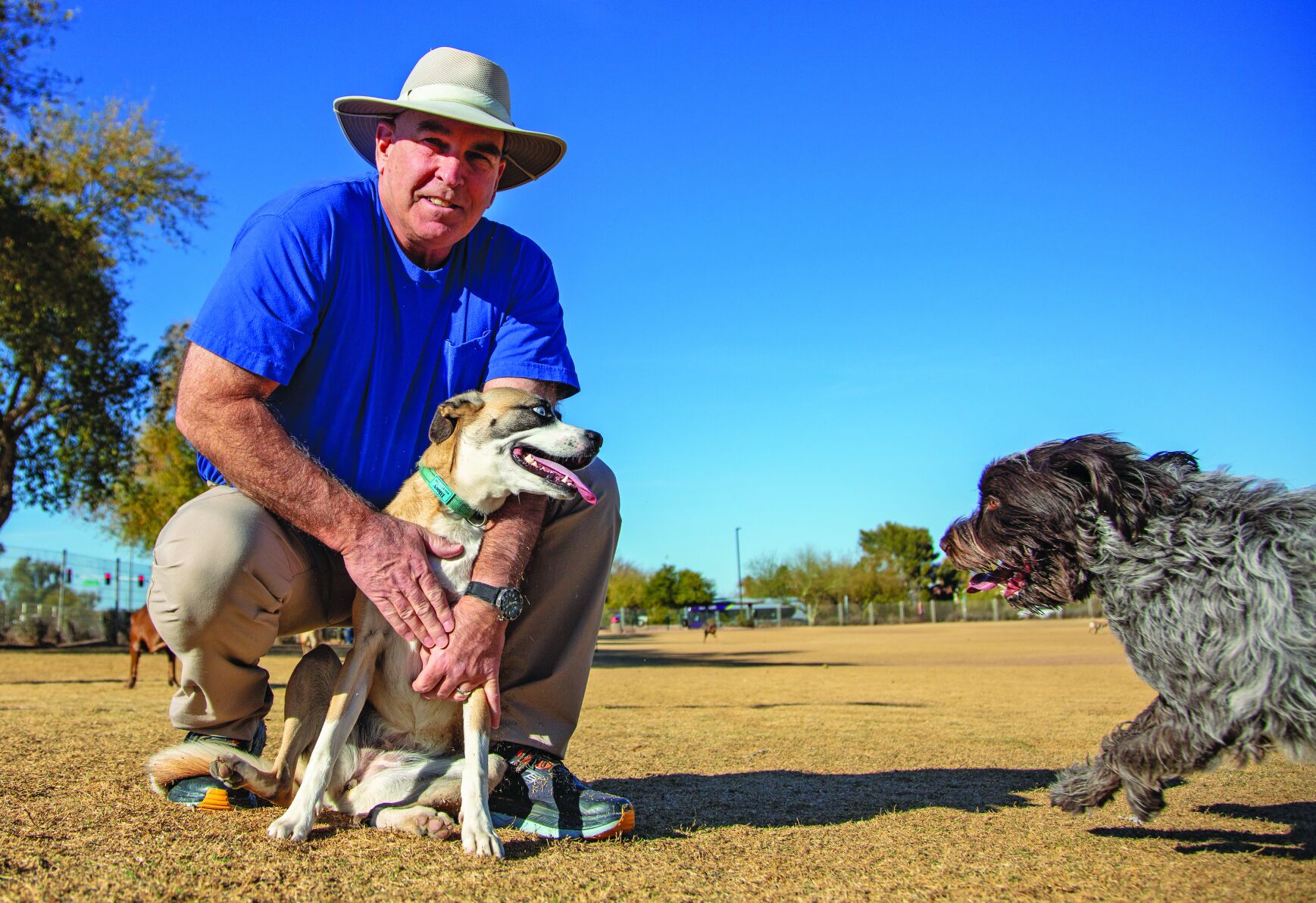 Scottsdale man bites city dog park signs | City News | scottsdale.org
