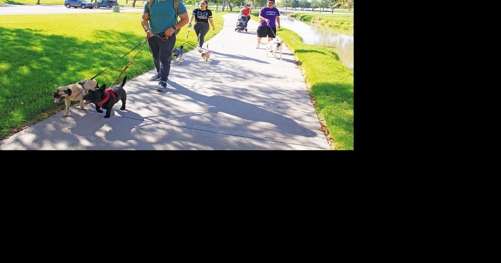 Fido and Tiger like Scottsdale the best, survey finds | Neighboors ...
