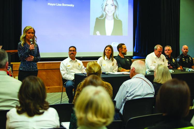 Scottsdale mayor requests emails on failed idea | City News ...