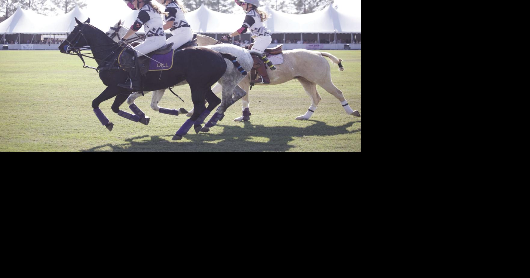 Polo stars coming to Scottsdale | City News | scottsdale.org
