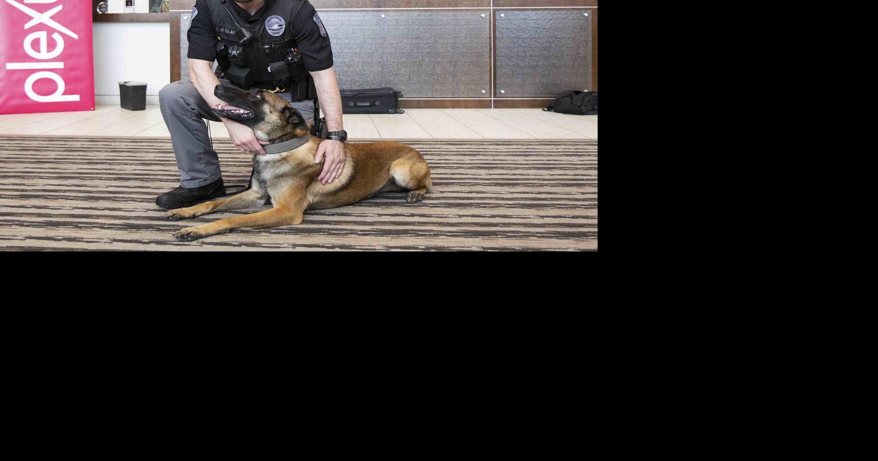 Scottsdale’s Plexus helps Salt River police get dog | Business ...