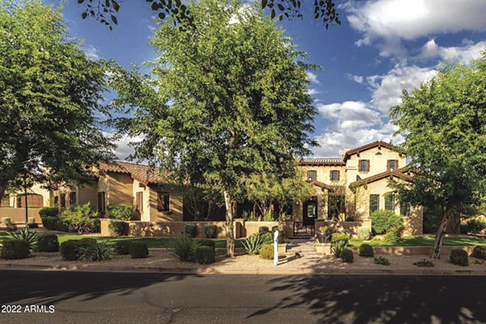 Sissoo tree battle lines drawn in Scottsdale neighborhood | City News ...