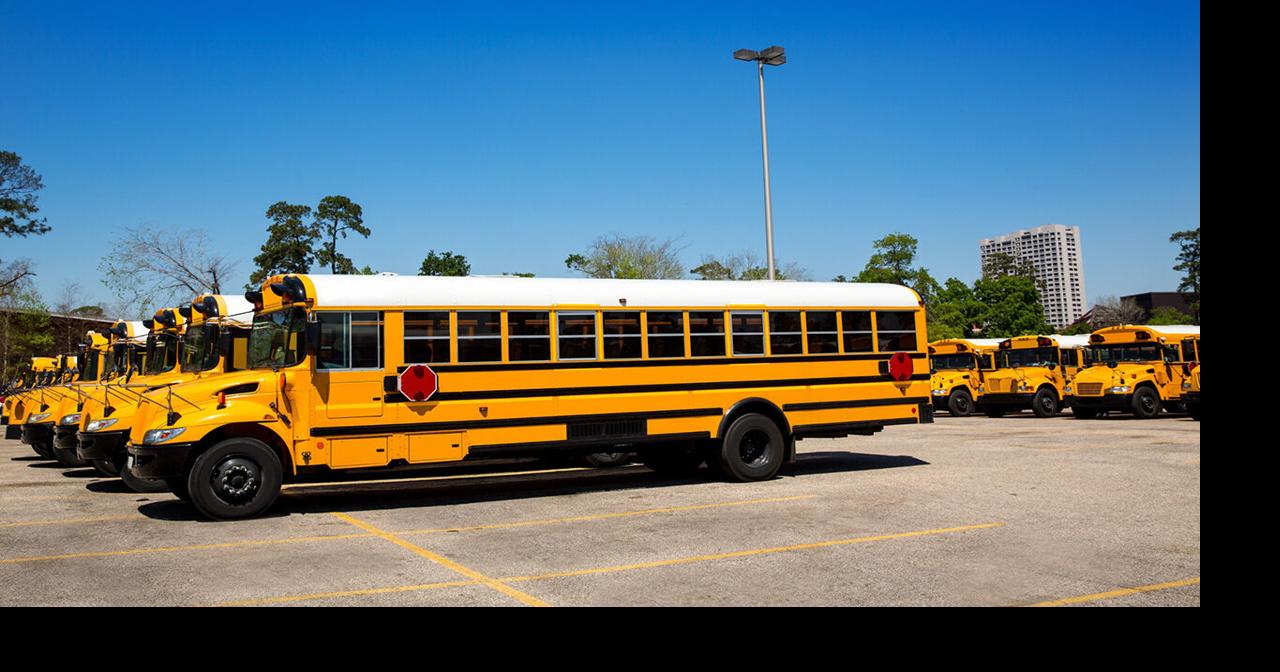 ‘Diesel dozen’ speak out for green school buses | City News ...
