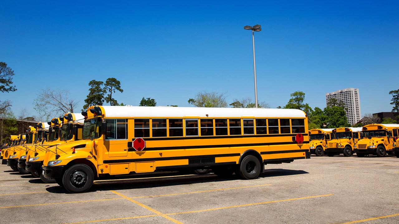‘Diesel dozen’ speak out for green school buses | City News ...