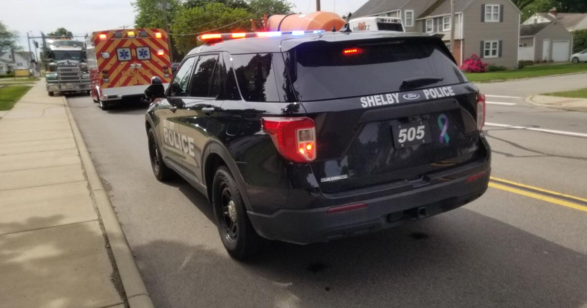Shelby Police Reports Jan 29