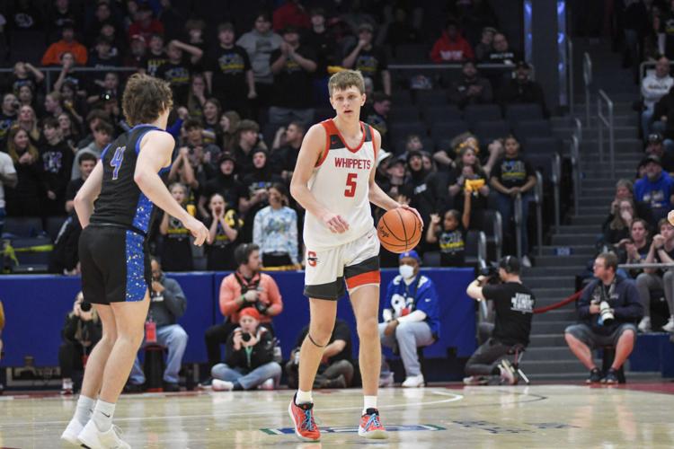 Shelby's Alex Bruskotter named Ohio Division II Player of Year | News ...