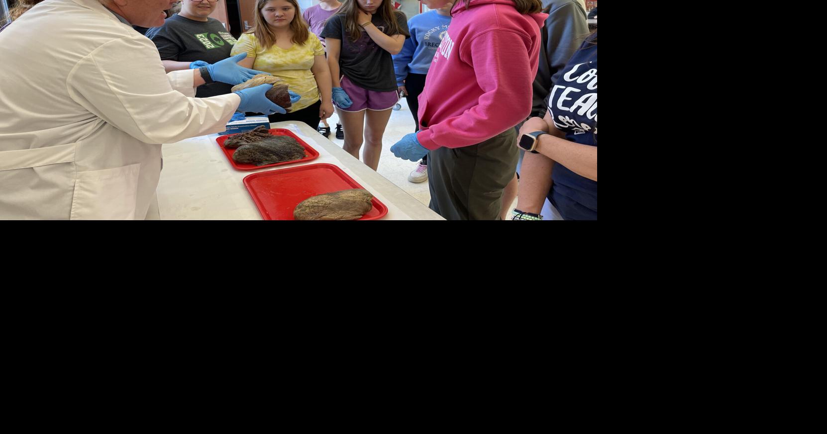 Shelby Middle School students see how vaping/smoking could damage their ...