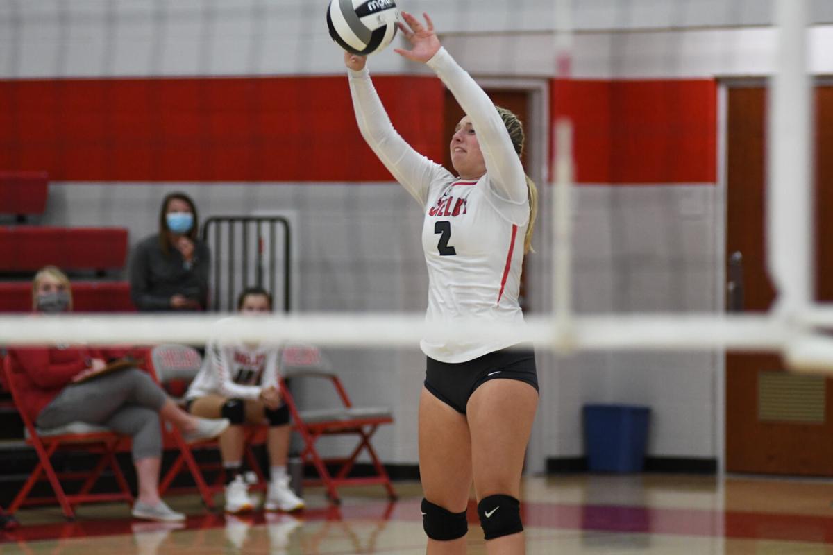 Shelby varsity volleyball vs. Galion | Photo Galleries | sdgnewsgroup.com