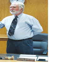 Elmlinger to serve as president of Willard City Council | News ...