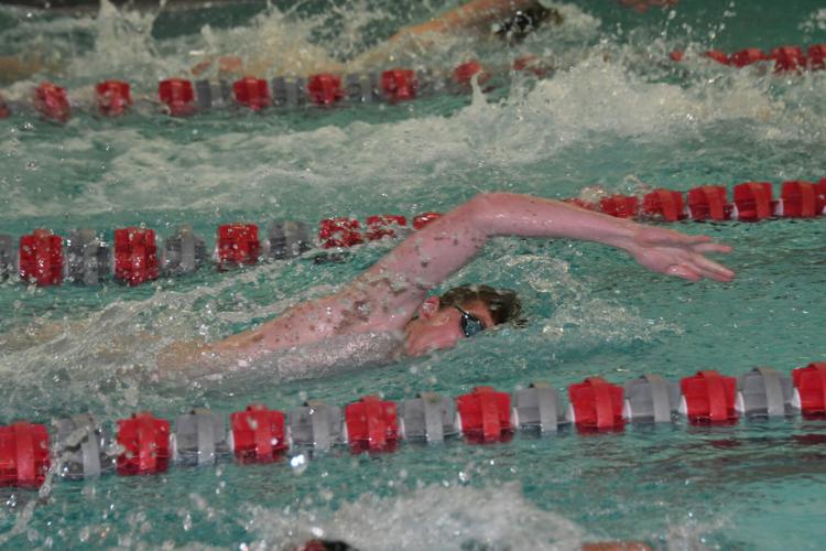 Shelby varsity swimming vs. Willard | Photo Galleries | sdgnewsgroup.com