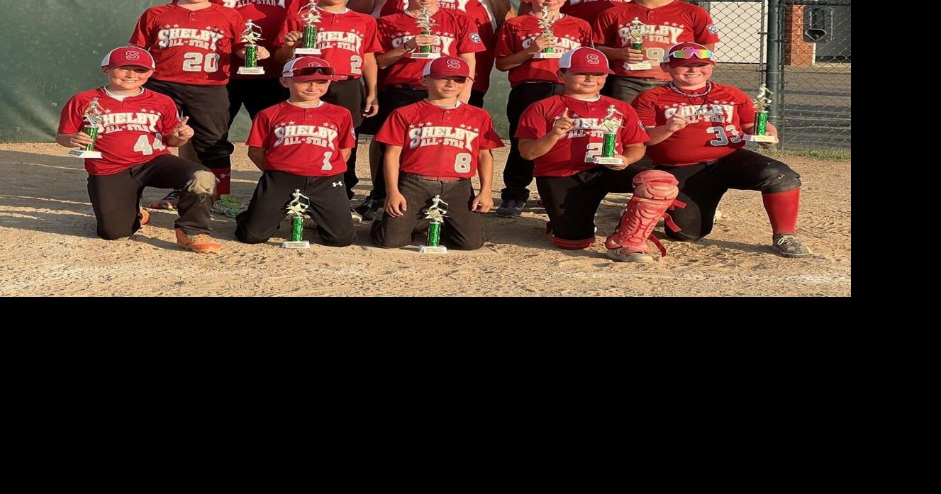 Shelby 12u captures Madison Youth Championship | Sports | sdgnewsgroup.com