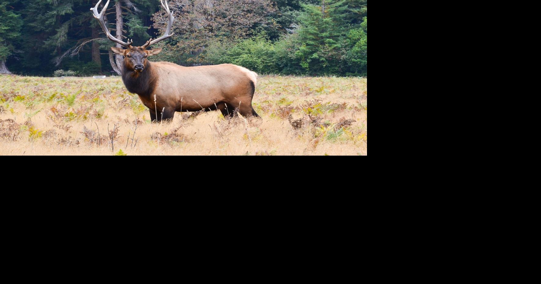 This Wisconsin DNR list will make sure you're prepared before, during ...