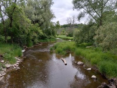 Celebrate Maywood’s 40th anniversary July 29 | Things To Do ...