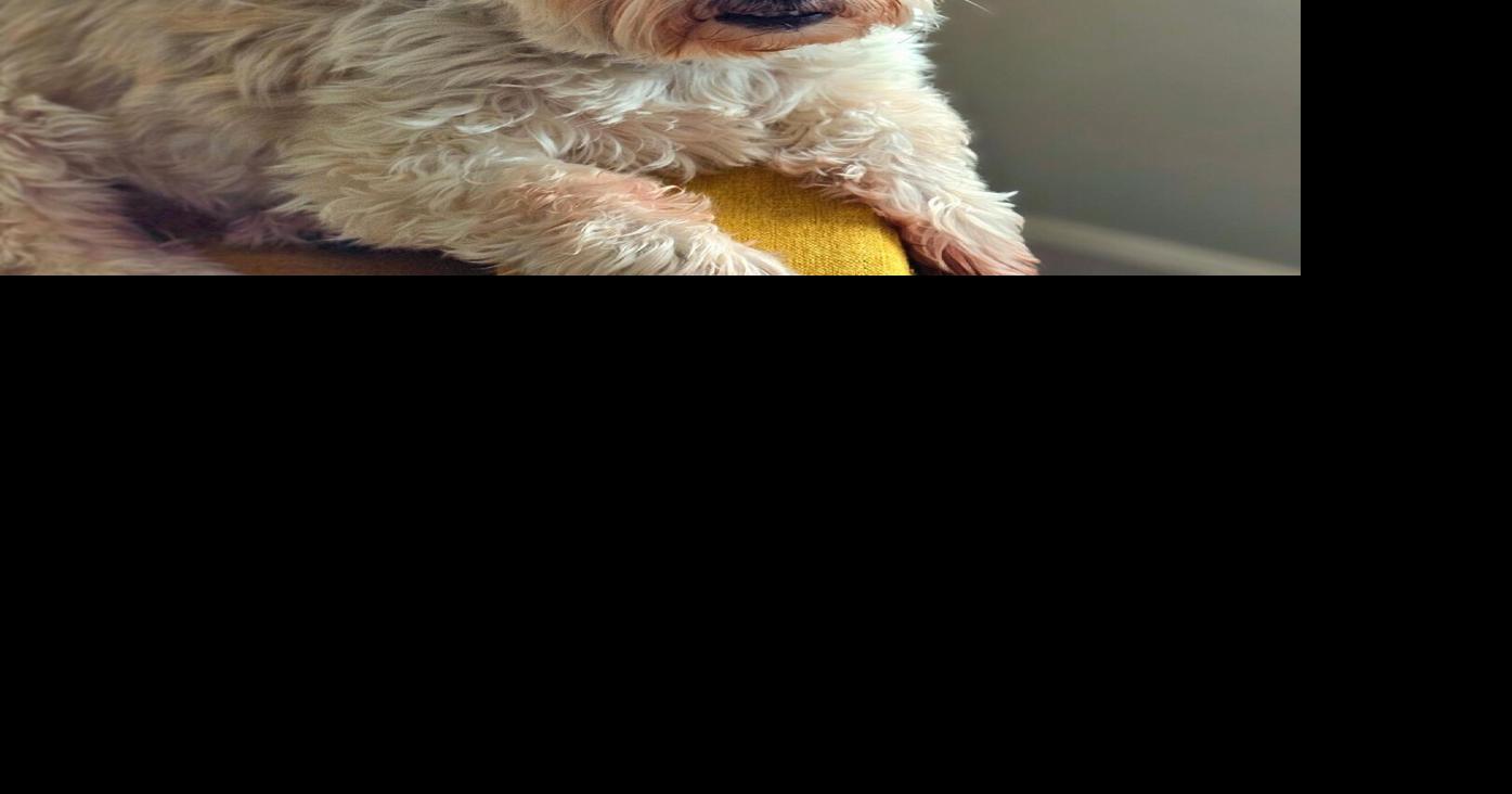 Matching donor will double donations to MHA Lakeshore | Local News ...