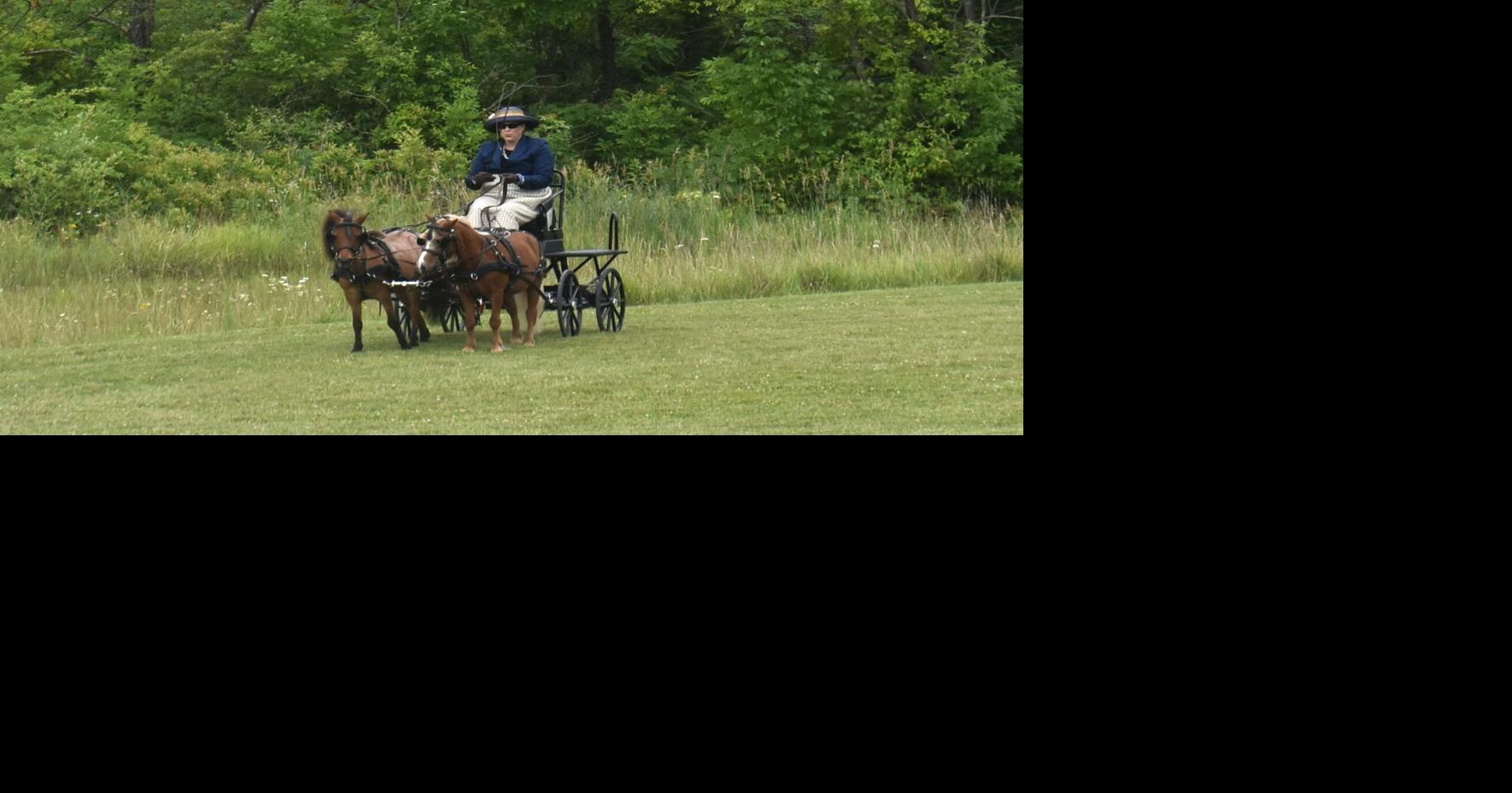 The art of carriage driving on display at the Wade House | Local News ...