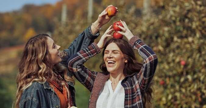 5 Wisconsin apple orchards worth the pick this fall | Things To Do ...