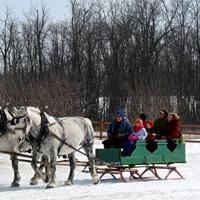 Outdoor events, music and speed dating happening this week | Things To ...