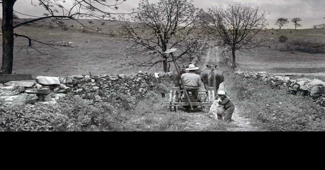 History Uncovered: The legacy of the stone fence | History ...