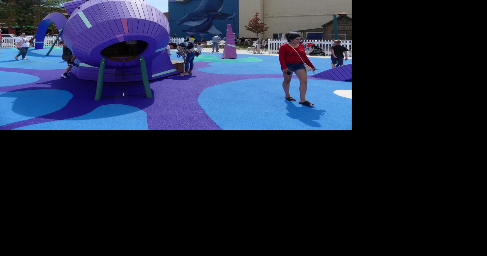 Above & Beyond opens all-abilities Purple Octopus Playground, 45 photos ...