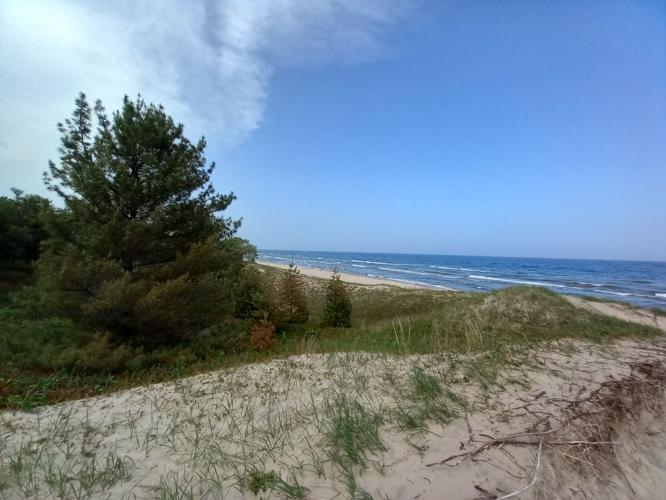 Enjoy these July activities at Kohler-Andrae State Park | Things To Do ...