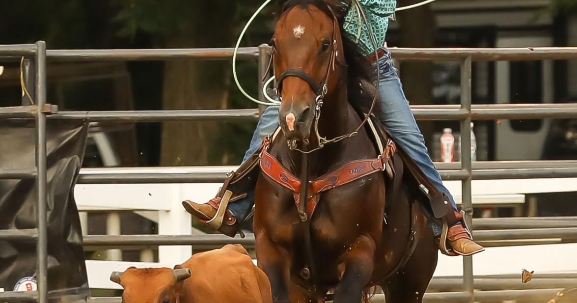 Richards joins new rodeo series; Still aiming for 8 seconds | News ...