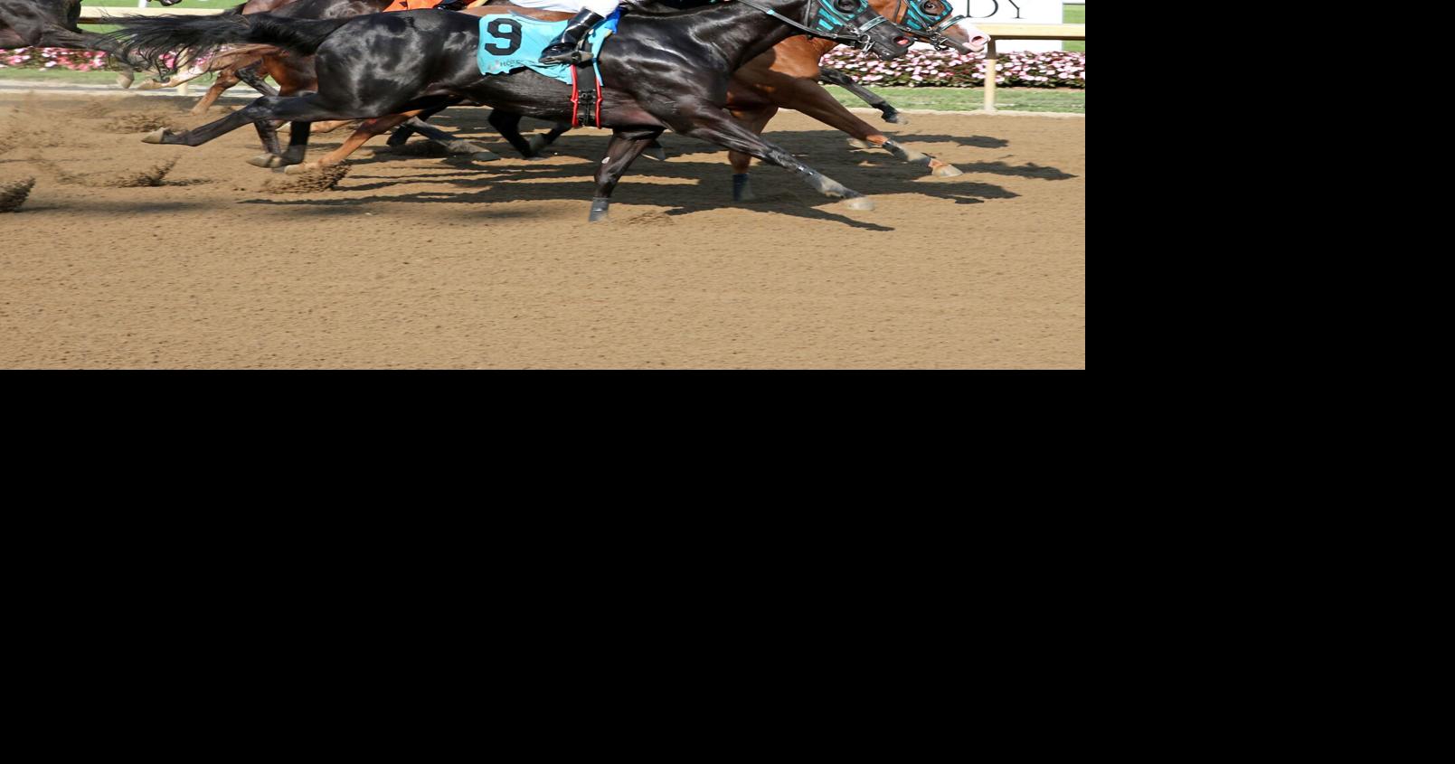 Dead Heat finish | | shelbynews.com