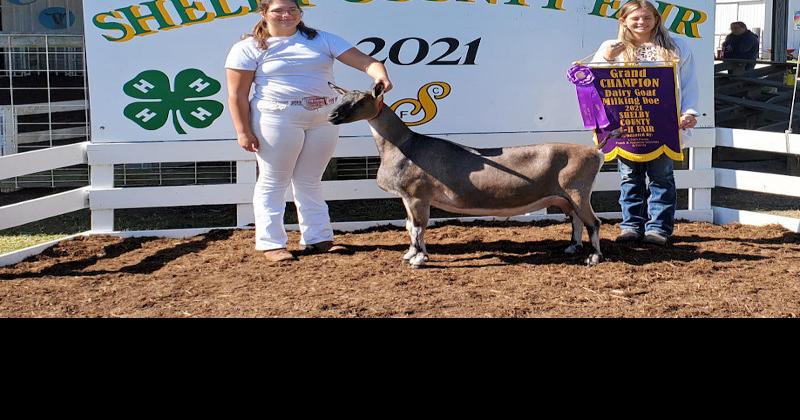 No joke, these kids have got talent | News | shelbynews.com