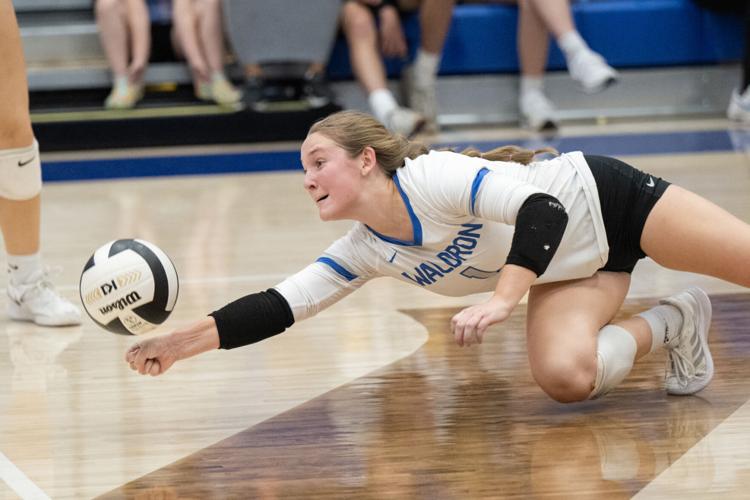 Emily Tyree: The Setter | Sports | shelbynews.com