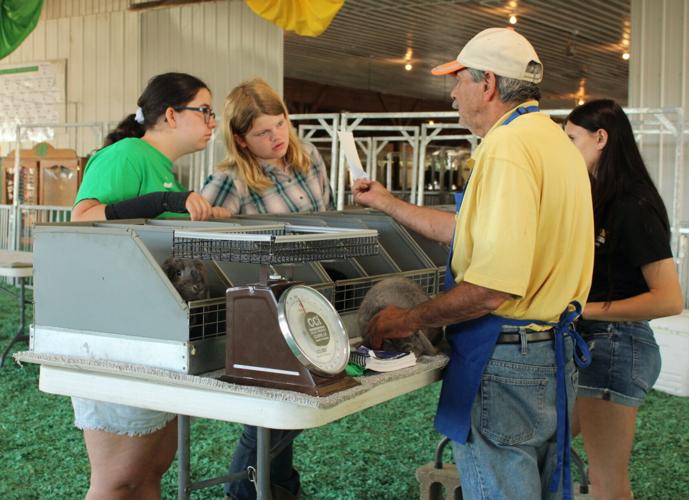 Nieman, Davidson catch Rabbit Show titles | News | shelbynews.com