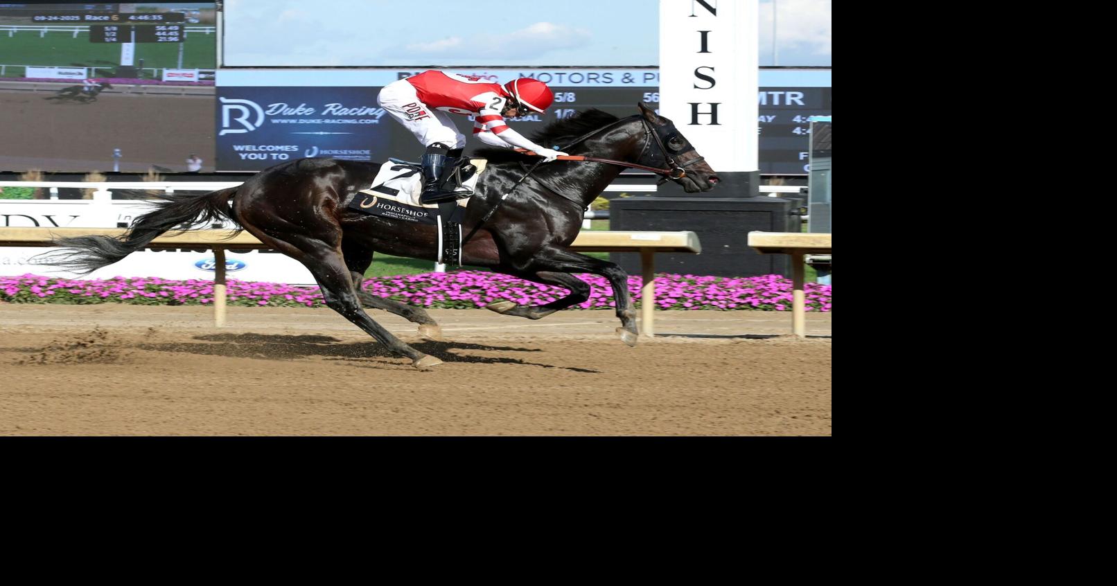 Goodlookinjustice looks good in Dunham Overnight Handicap at Horseshoe ...
