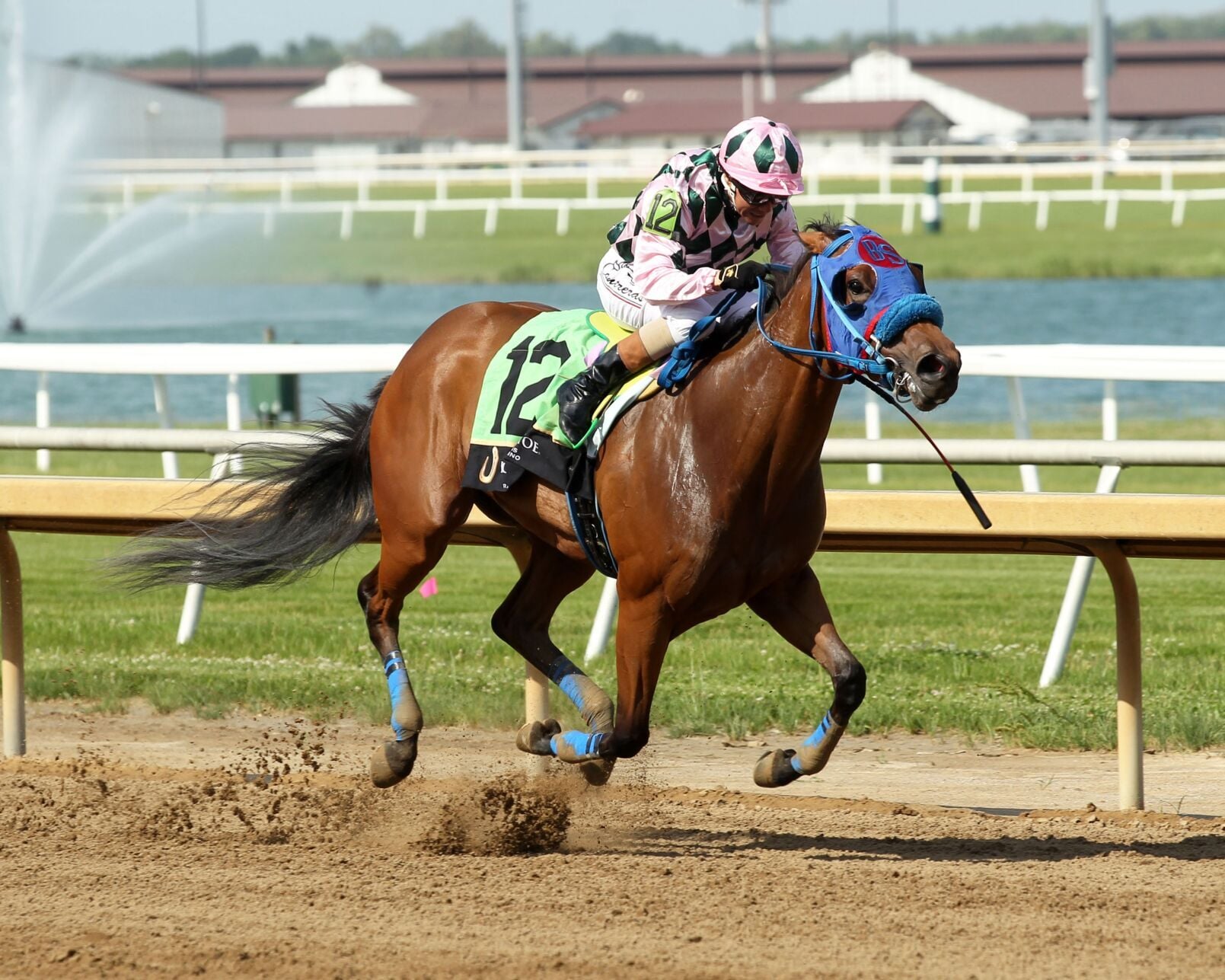 Spirited Justice rules in $100,000 Swifty Sired Fillies at Horseshoe ...