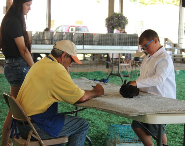 Nieman, Davidson catch Rabbit Show titles | News | shelbynews.com