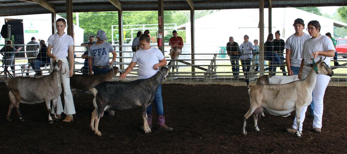Koch, Dove win multiple Dairy Goat Grand Champion, Reserve Grand ...