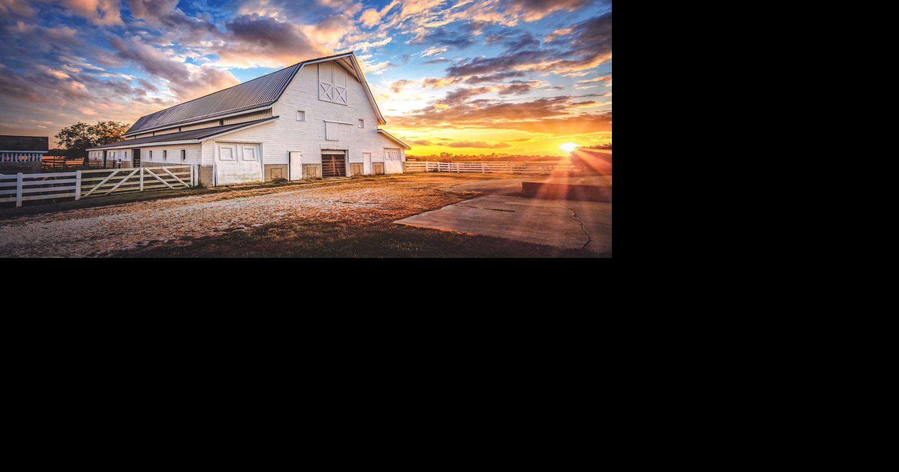 Local photographer wins DNR photo contest | News | shelbynews.com