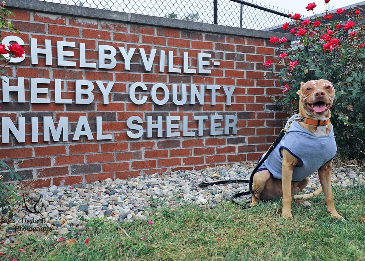 'He brings nothing but love to that family': Justice continues to live ...