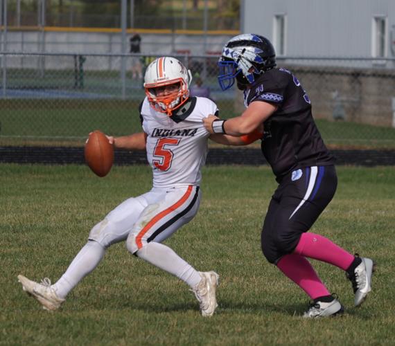 Waldron football ends season as 8-man runner up | Sports | shelbynews.com