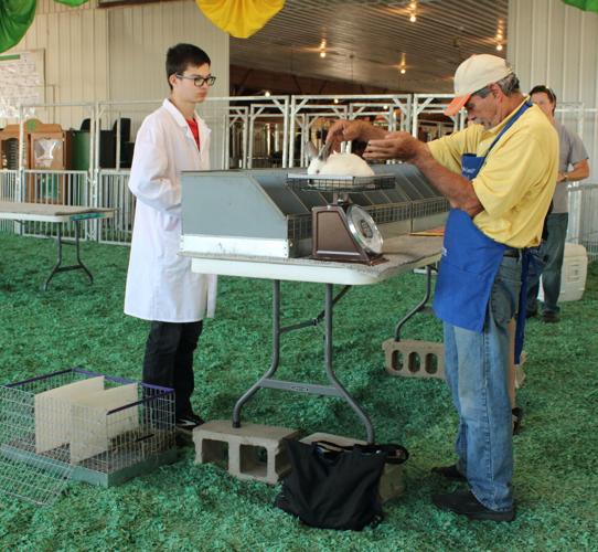 Nieman, Davidson catch Rabbit Show titles | News | shelbynews.com