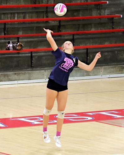 Tigers defeat Spartans 3-0 on cancer awareness night | Sports ...