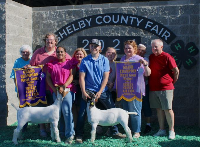 SCREAMING WITH JOY: Pygmy, Meat Goat show titles awarded | News ...